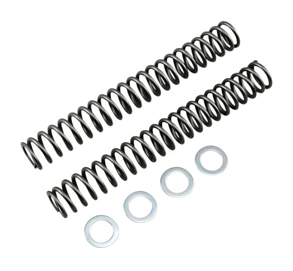 Race Tech Fork Springs FRSP S4031 | JPCycles.com